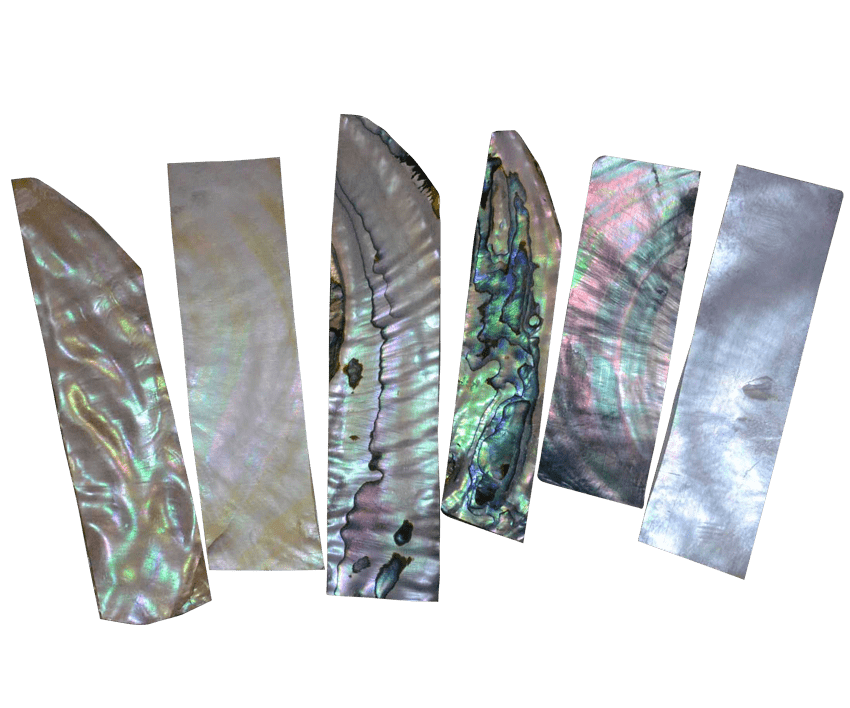 Australian Mother of Pearl Co. Pty Ltd