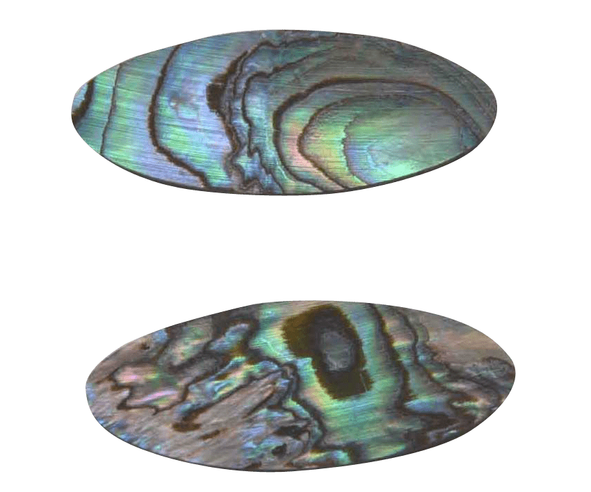 Australian Mother of Pearl Co. Pty Ltd