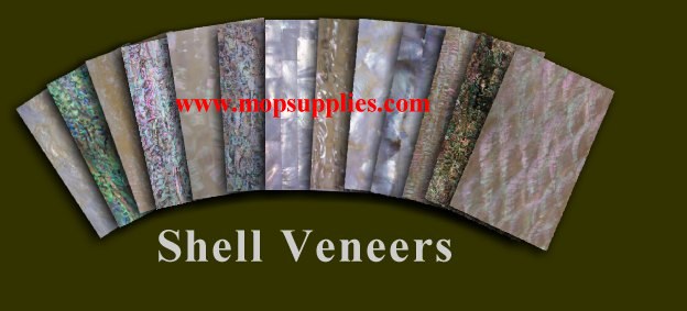 Shell veneers